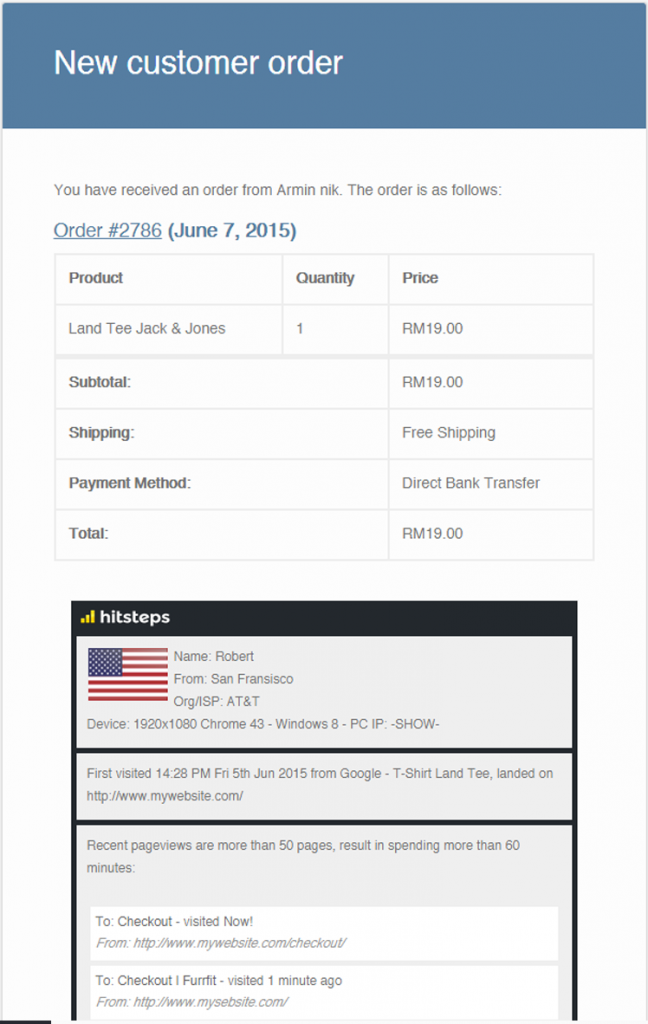 How include your visitors details when they send you an email? – Hitsteps